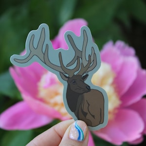 Bull Elk Sticker - Etsy