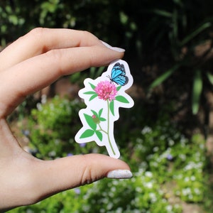 Blue Butterfly Sticker - Etsy