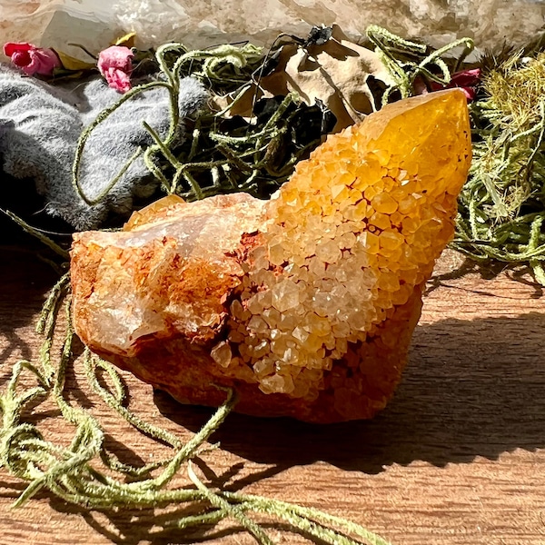 Cactus Quartz - Etsy