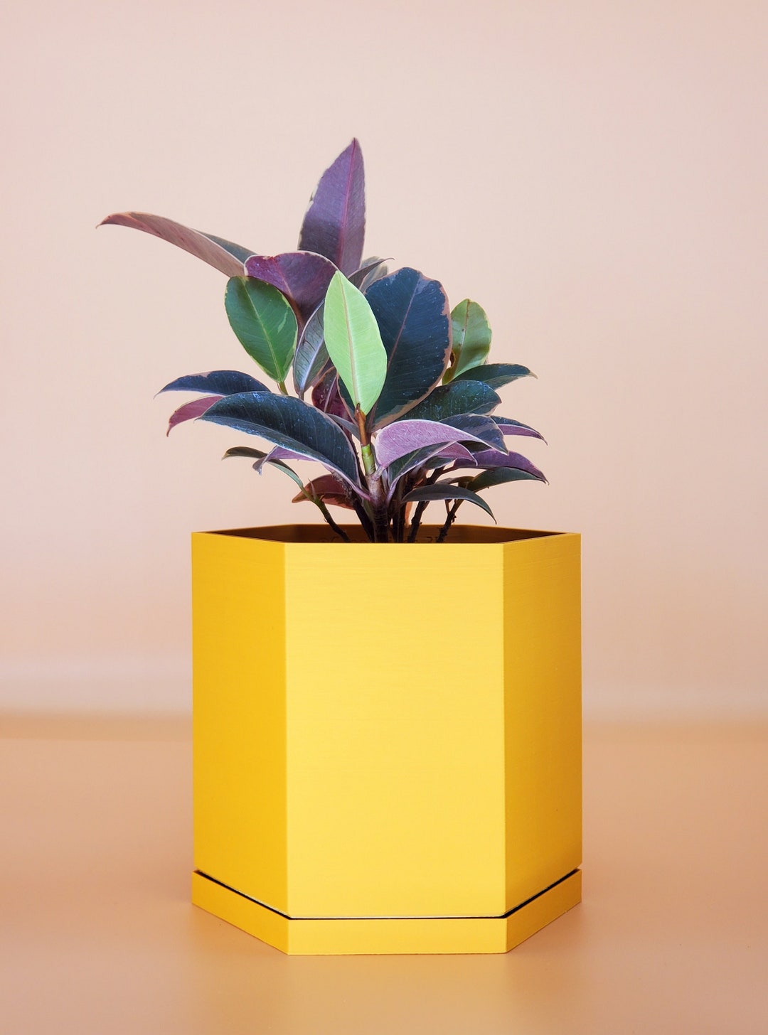 Honeycomb Hexagonal 3D Printed Planter Pot - Matte Color Biodegradable ...