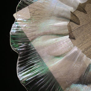 Two Toned Fabric, 15cm Wide 3D Folds Ruffle Organza, Designer Fabric ...