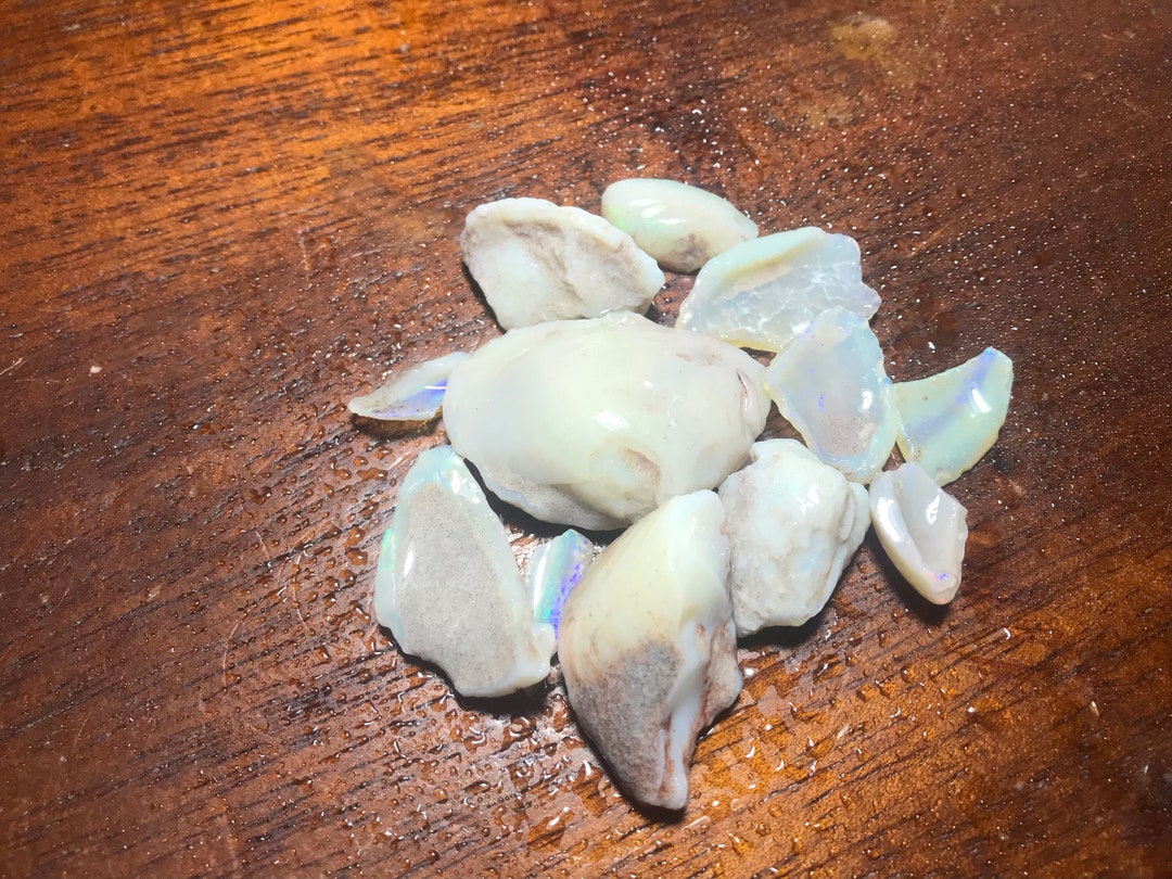 Coober Pedy Australia Solid Opalised Shell Fragments - Etsy