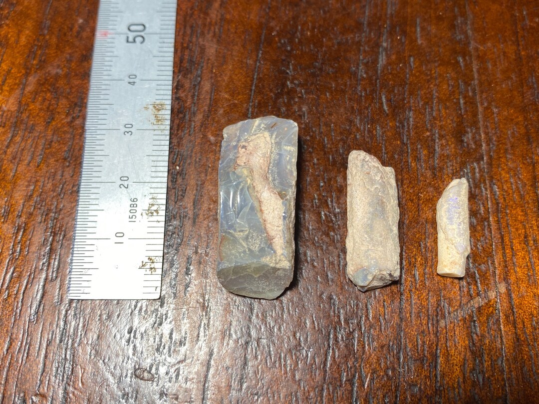 Coober Pedy Australia Solid Opal Fossil Belemnite Pieces (3) - Etsy