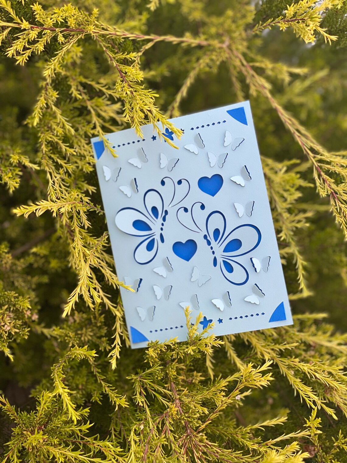 Pop-up Butterfly Card SVG File for Cricut Joy. Silhouette and - Etsy