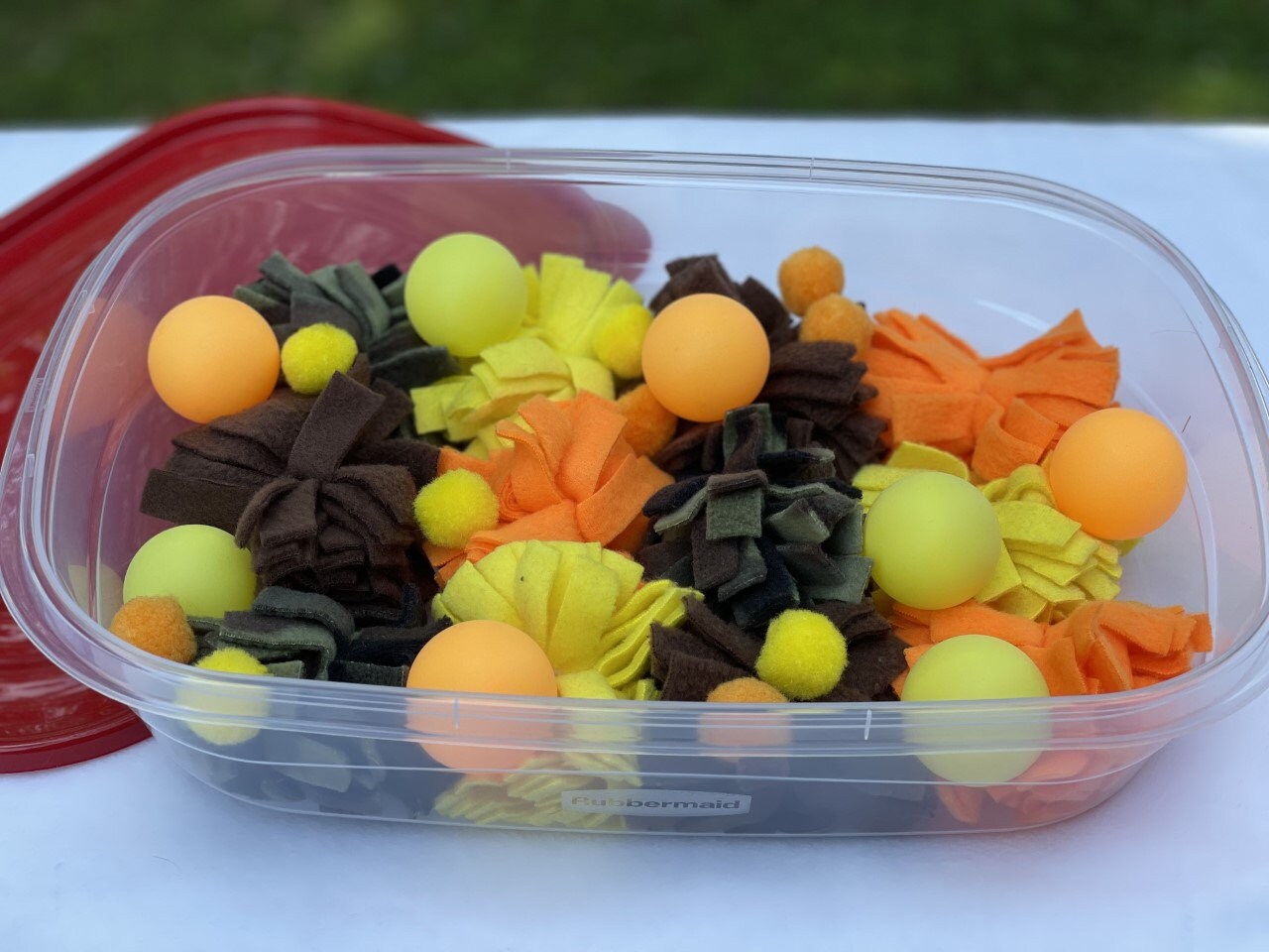 Thanksgiving Hedgehog Dig Box Burrowing Fleece Pom Poms, Ping Pong ...