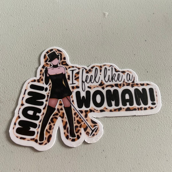 Shania Twain Stickers - Etsy