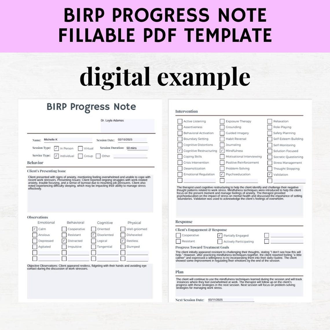 BIRP Therapist Progress Notes Template, Therapist Notes Template ...
