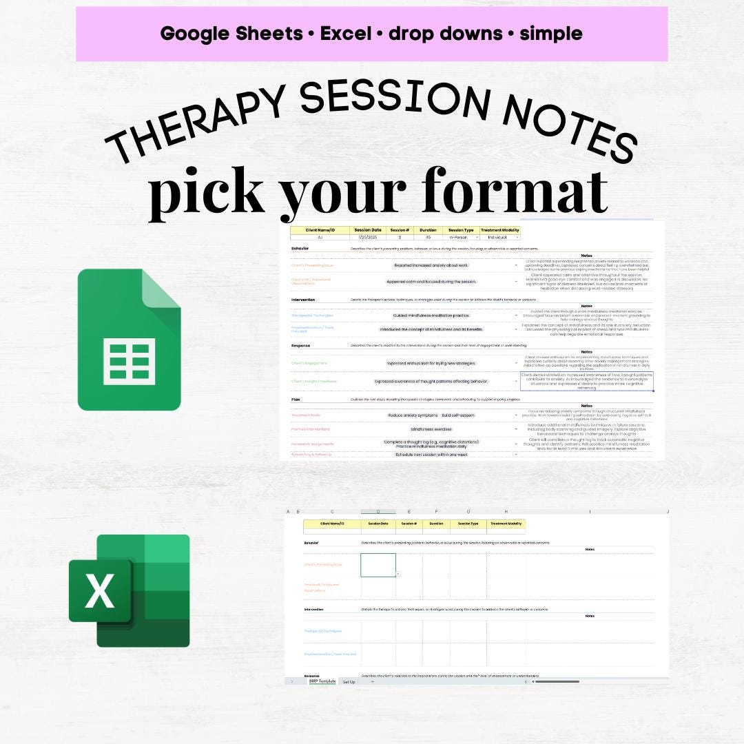 BIRP Therapy Progress Notes Template, Therapy Session Notes Template ...