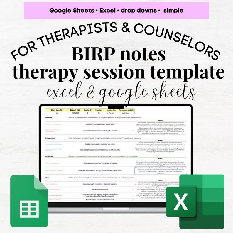 BIRP Therapy Progress Notes Template, Therapy Session Notes Template ...