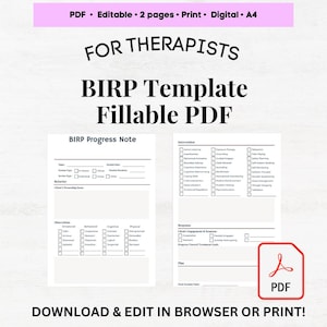 BIRP Therapist Progress Notes Template, Therapist Notes Template ...