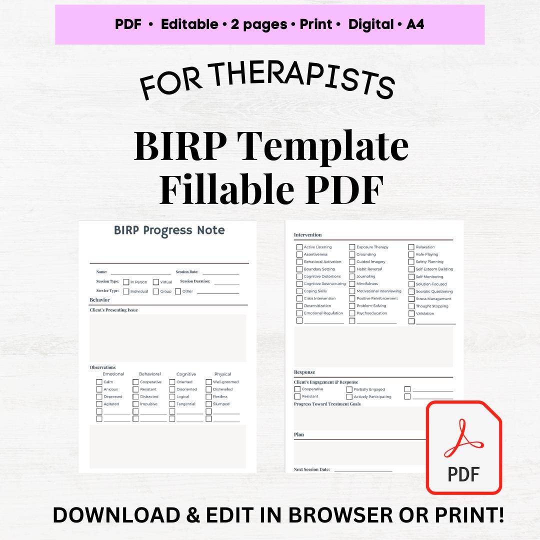 BIRP Therapist Progress Notes Template, Therapist Notes Template ...