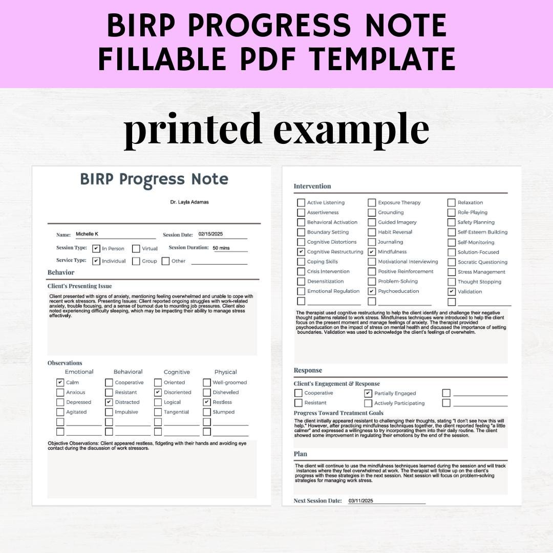 BIRP Therapist Progress Notes Template, Therapist Notes Template ...