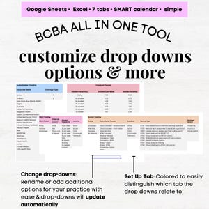 BCBA ABA Therapist All in One Tool - Session, Client, Authorization ...