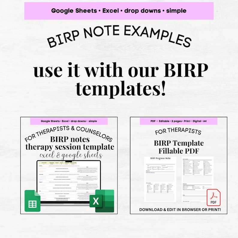BIRP Note Cheat Sheet PDF, BIRP Note, Mental Health Therapy Notes ...