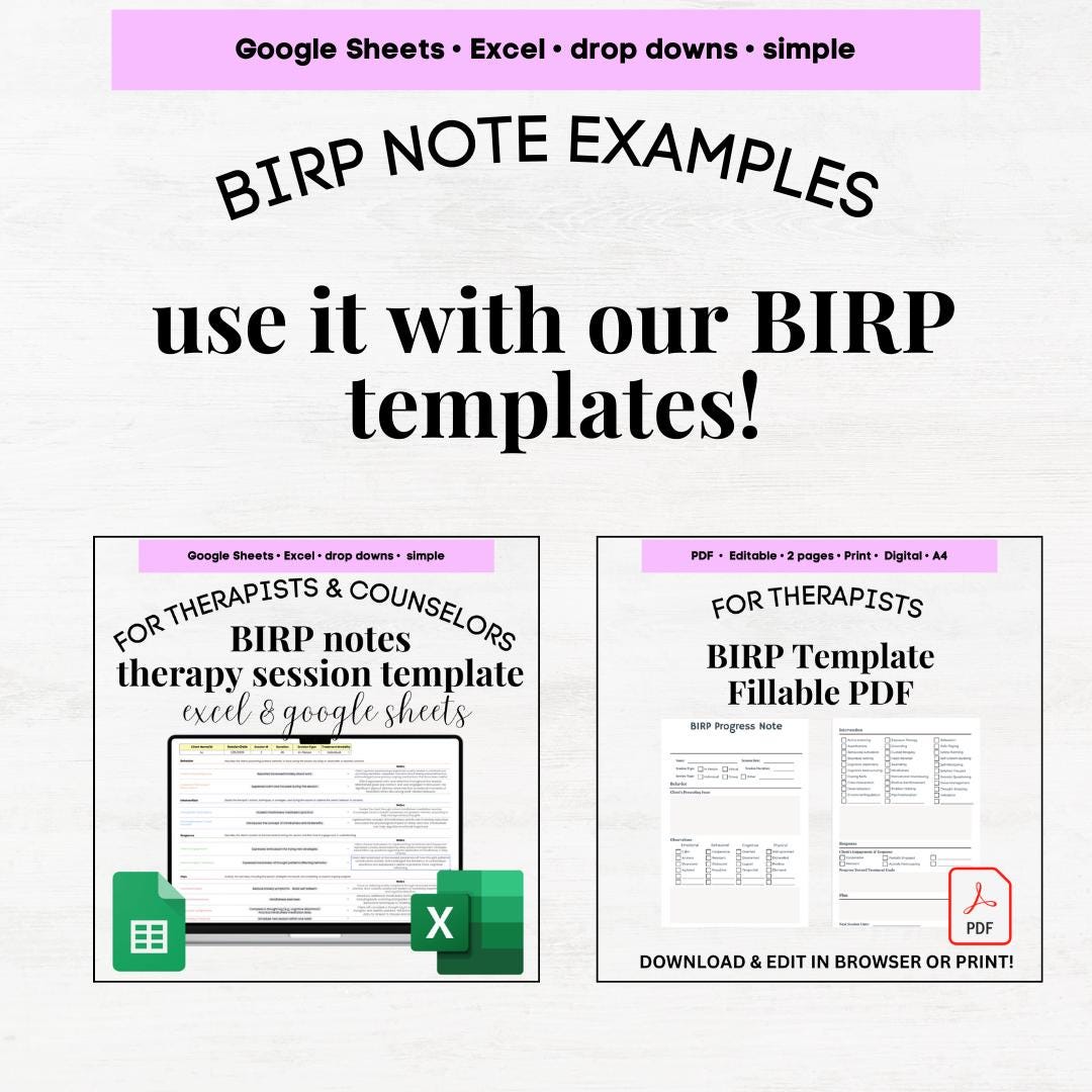 BIRP Note Cheat Sheet PDF, BIRP Note, Mental Health Therapy Notes ...