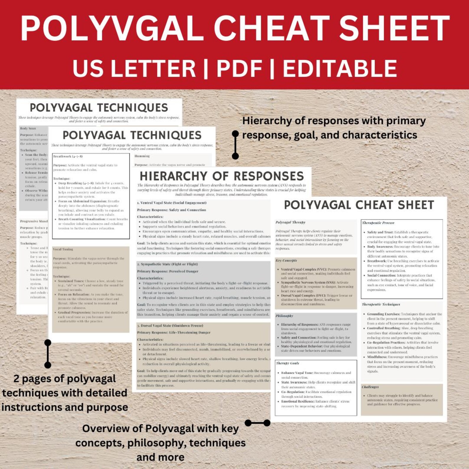 Polyvagal Therapy Cheat Sheet, Polyvagal Ladder, Nervous System ...