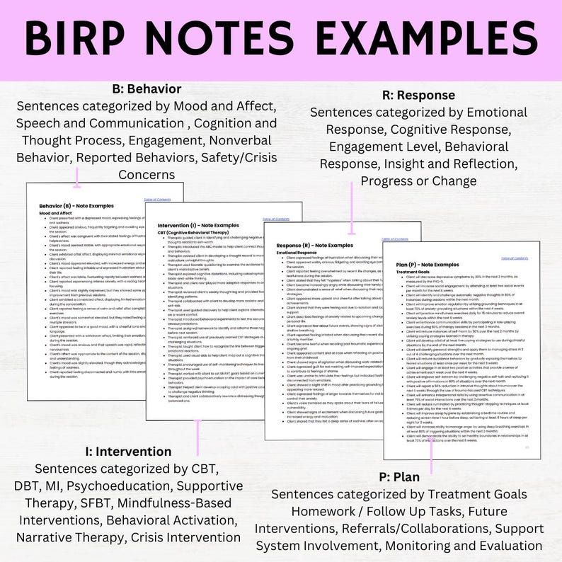 BIRP Note Cheat Sheet PDF, BIRP Note, Mental Health Therapy Notes ...