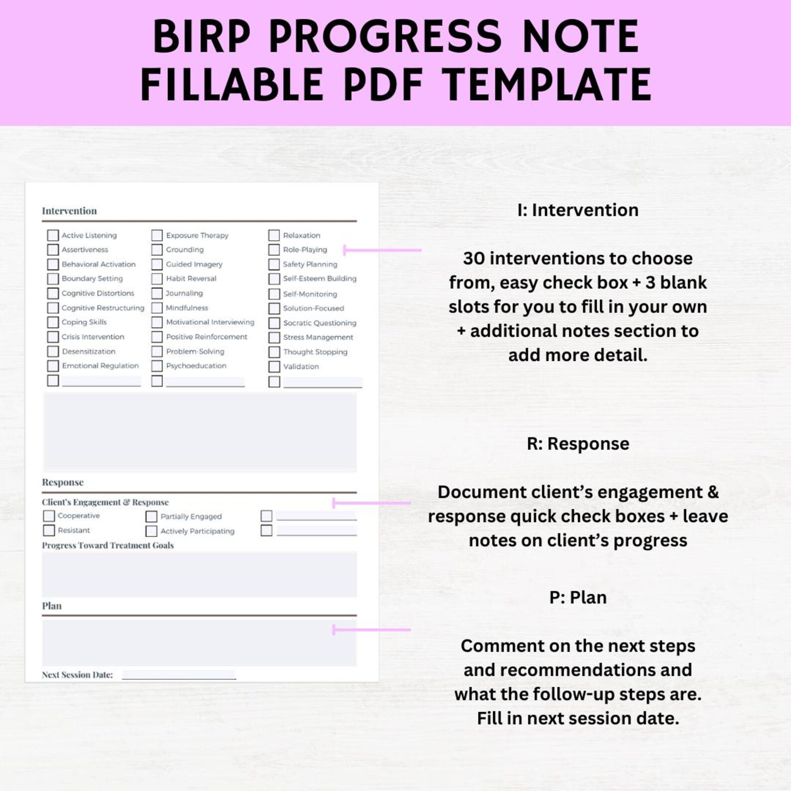 BIRP Therapist Progress Notes Template, Therapist Notes Template ...