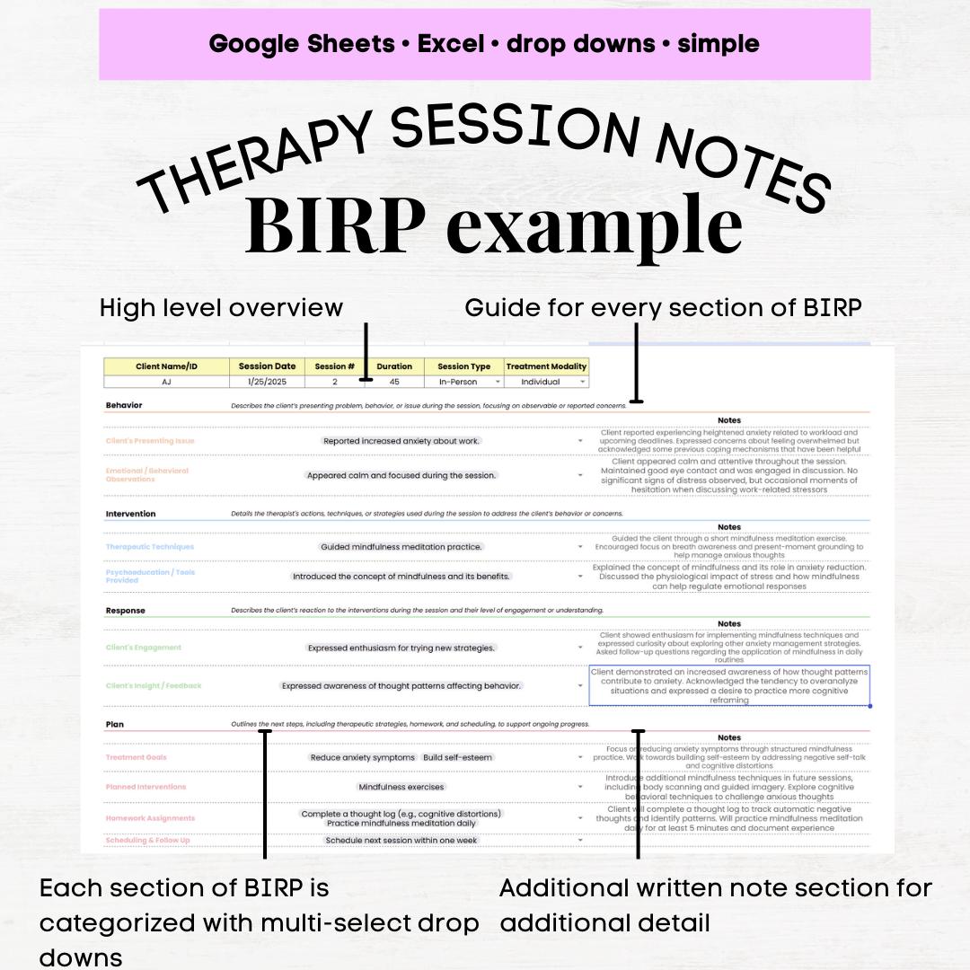 BIRP Therapy Progress Notes Template, Therapy Session Notes Template ...