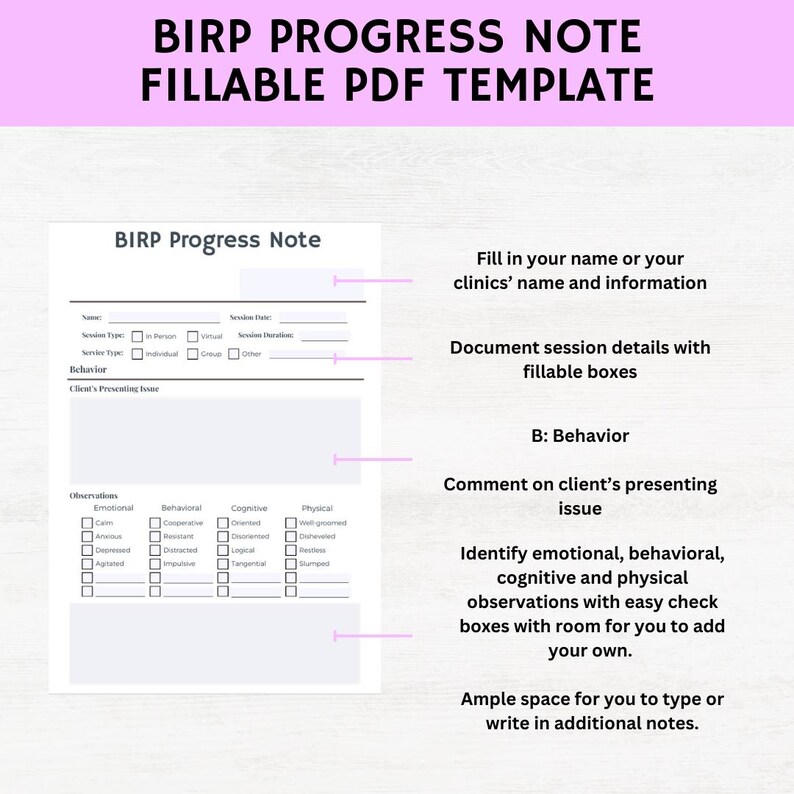 BIRP Therapist Progress Notes Template, Therapist Notes Template ...