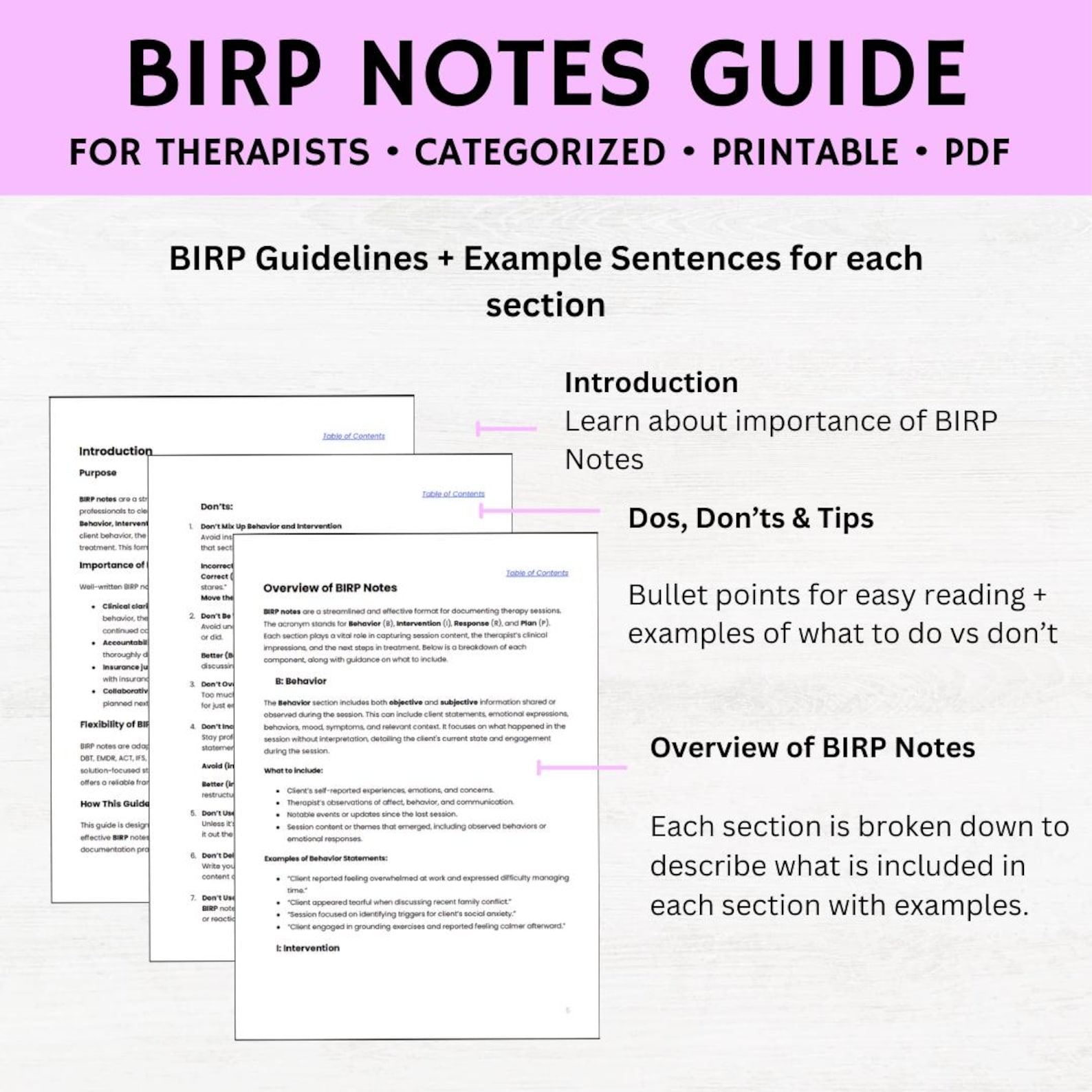 BIRP Note Cheat Sheet PDF, BIRP Note, Mental Health Therapy Notes ...