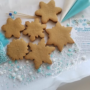 Snowflake DIY Cookie Kit Decorate Your Own Christmas Cookies Let It ...