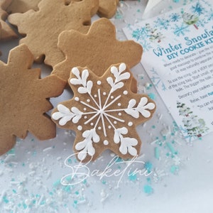 Snowflake DIY Cookie Kit Decorate Your Own Christmas Cookies Let It ...