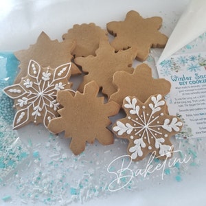 Snowflake DIY Cookie Kit Decorate Your Own Christmas Cookies Let It ...