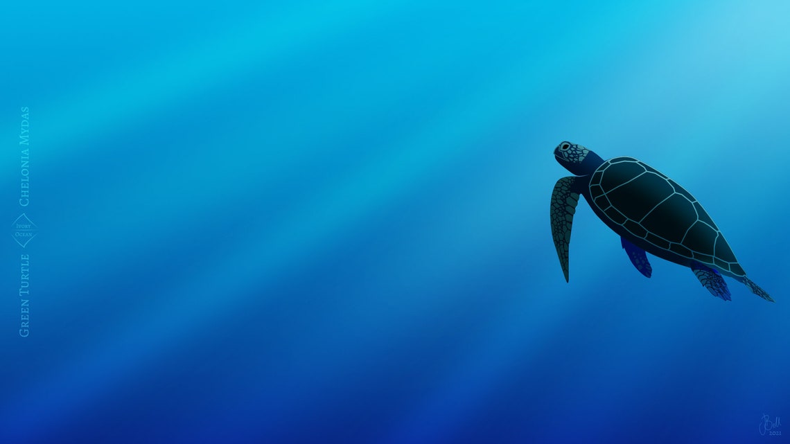 Turtle Silhouette Zoom background Ocean art Turtle | Etsy