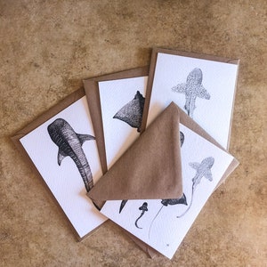 Shark Postcards, Black Ink Sharks, Watercolour Postcards, Whale Shark ...