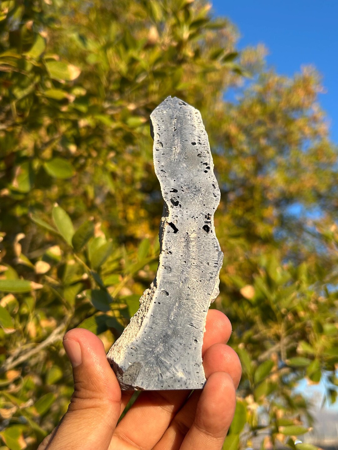 Blue Coral Fossil Tower | 5.5 Inch Tower - Etsy