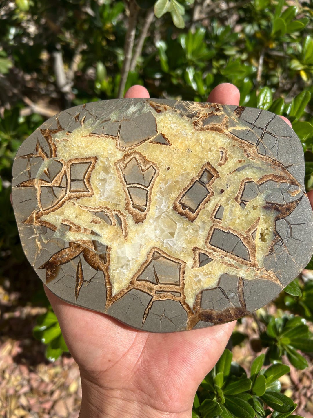 Septarian Slab | UV Reactive Septarian Slab | Septarian Crystal ...