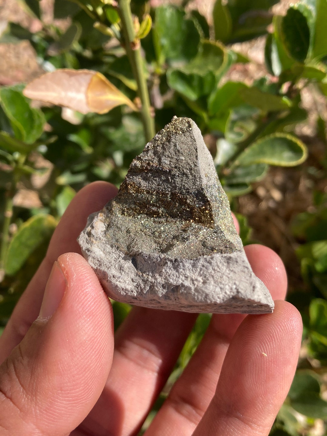 Rare Rainbow Pyrite From Russia - Etsy