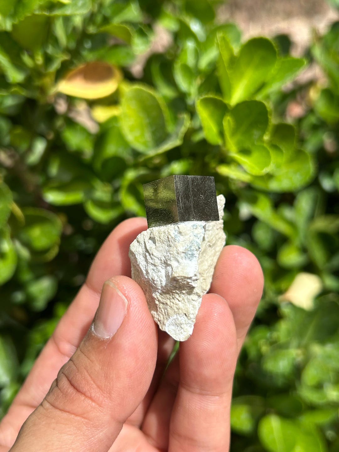 Cubic Pyrite From Spain | Pyrite on Matrix | No. 3 - Etsy