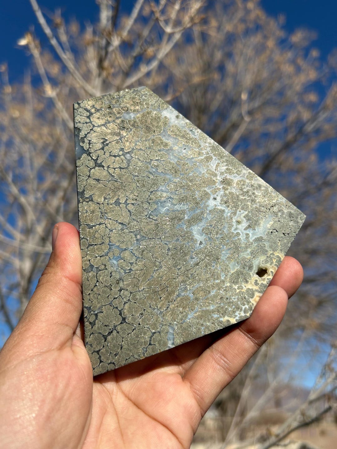 Marcasite in Agate Slab | Marcasite Crystal | No. 5 - Etsy