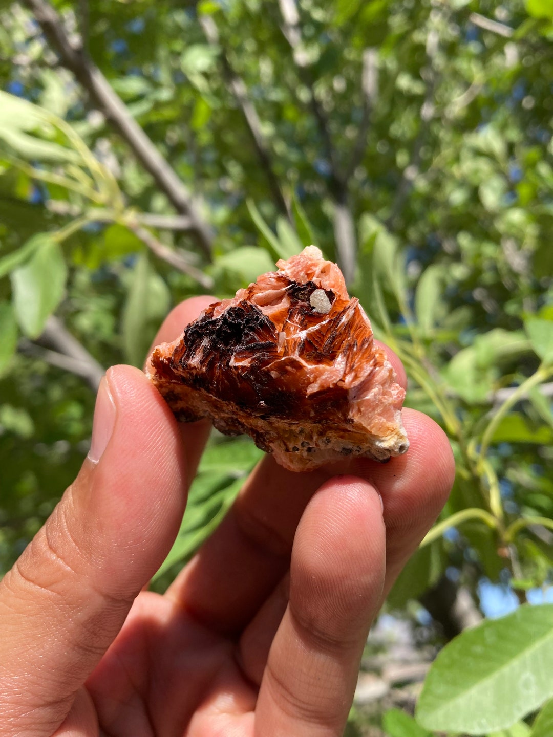 Rare Orange Barite, Cerussite & Galena From Morocco Specimen - Etsy