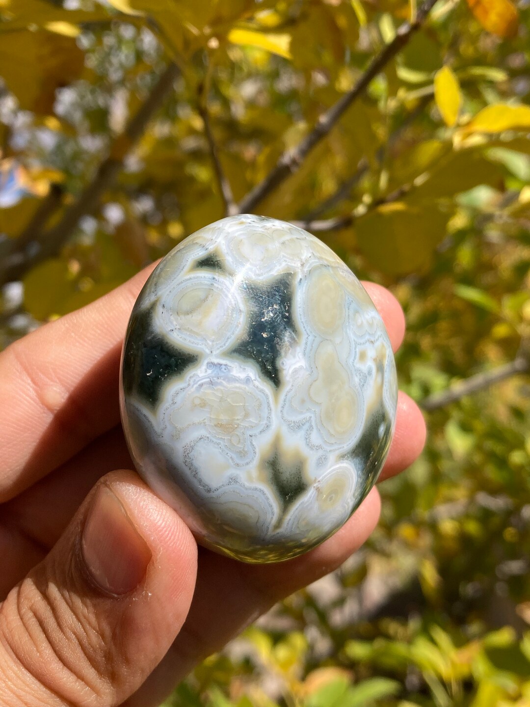 8th Vein Ocean Jasper Palm Stone, OJ Palm Stone, High Grade Ocean ...