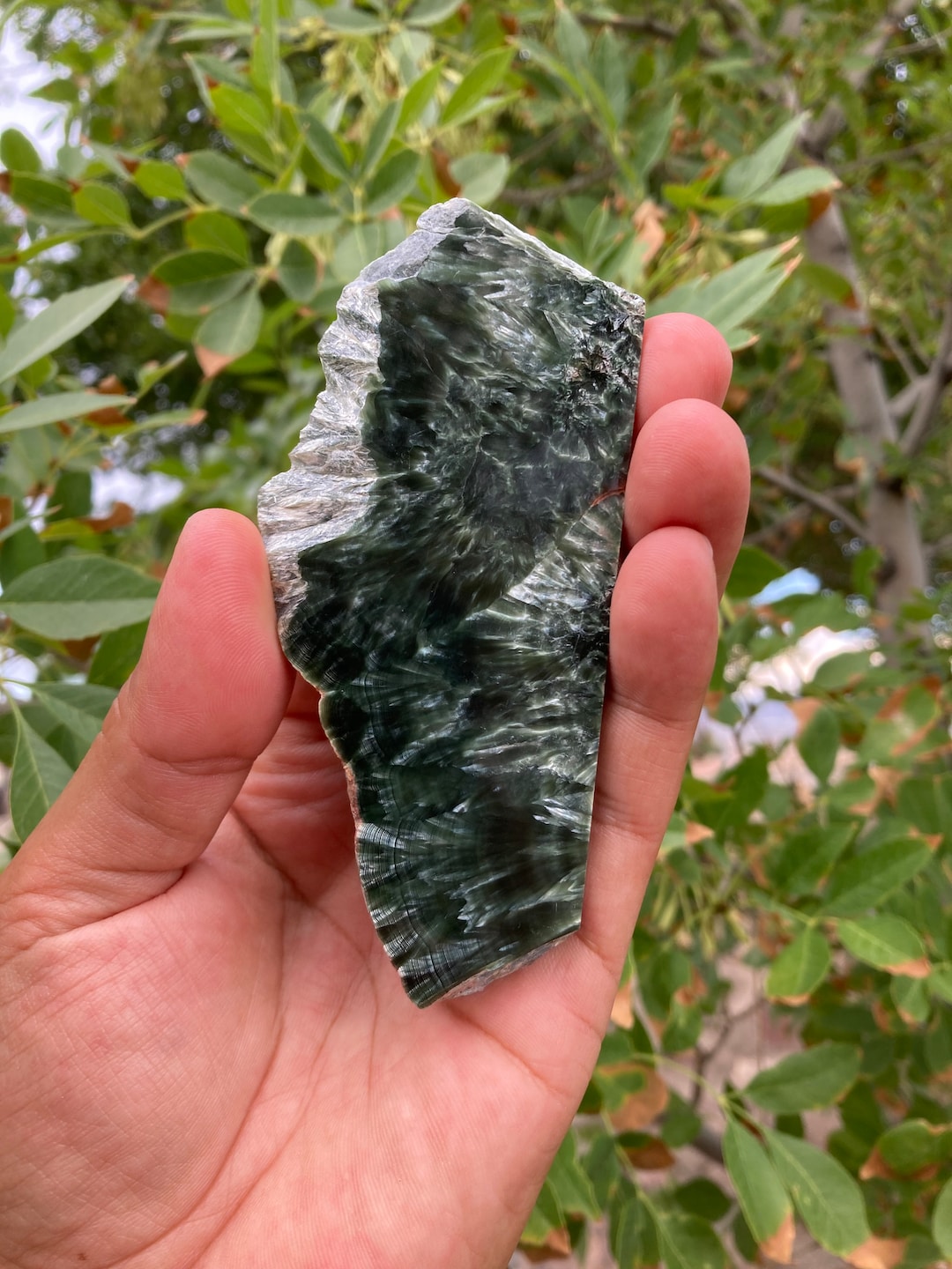 Rare High Quality Seraphinite Slab | Seraphinite Crystal - Etsy