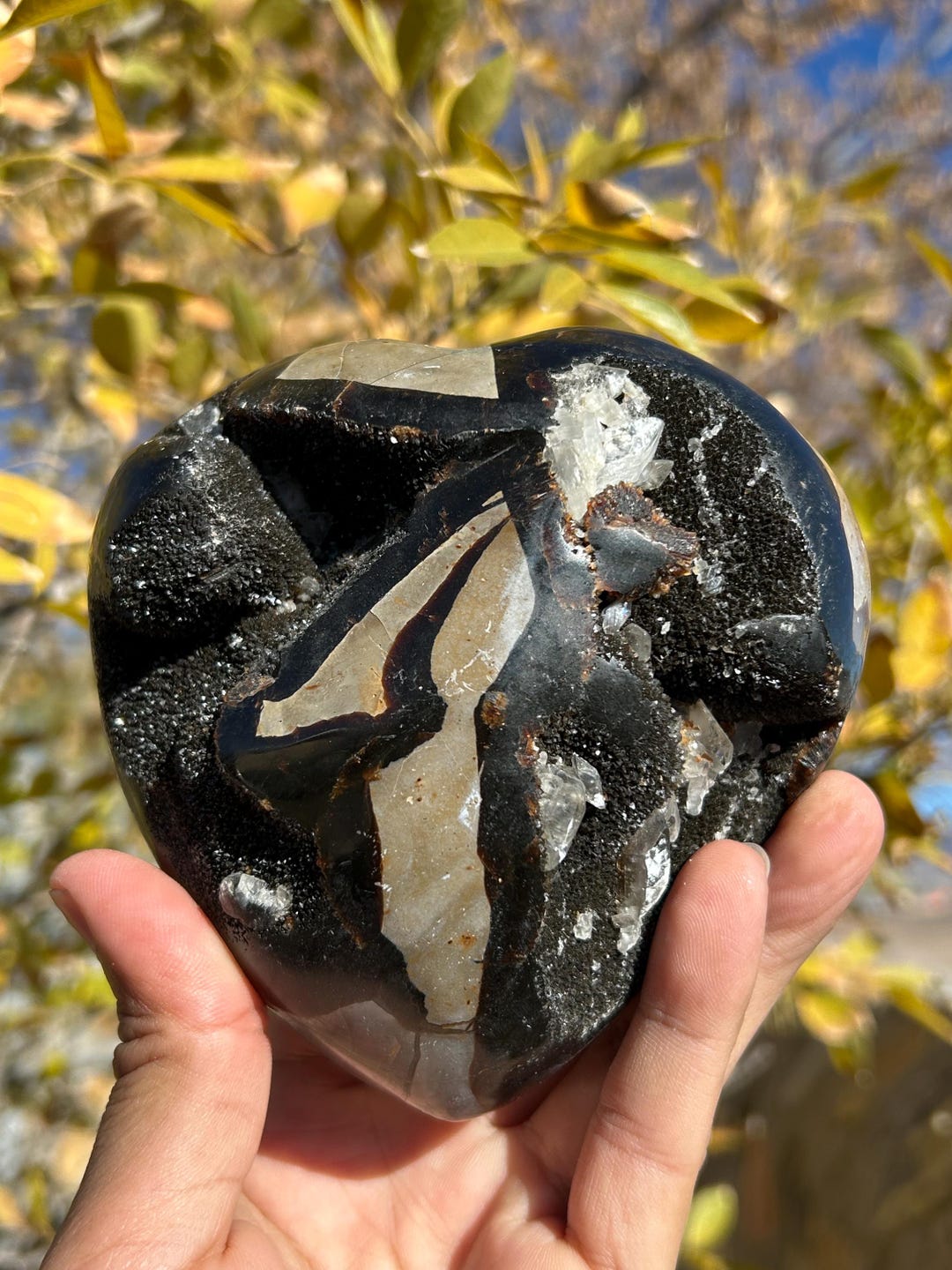 Big 2 Pound Septarian Heart | Septarian Carving | UV Reactive Septarian ...