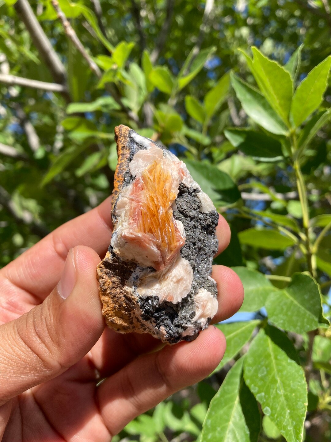 Rare Orange Barite, Cerussite & Galena From Morocco Specimen - Etsy