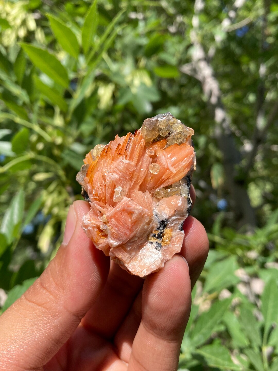Rare Orange Barite, Cerussite & Galena From Morocco Specimen - Etsy