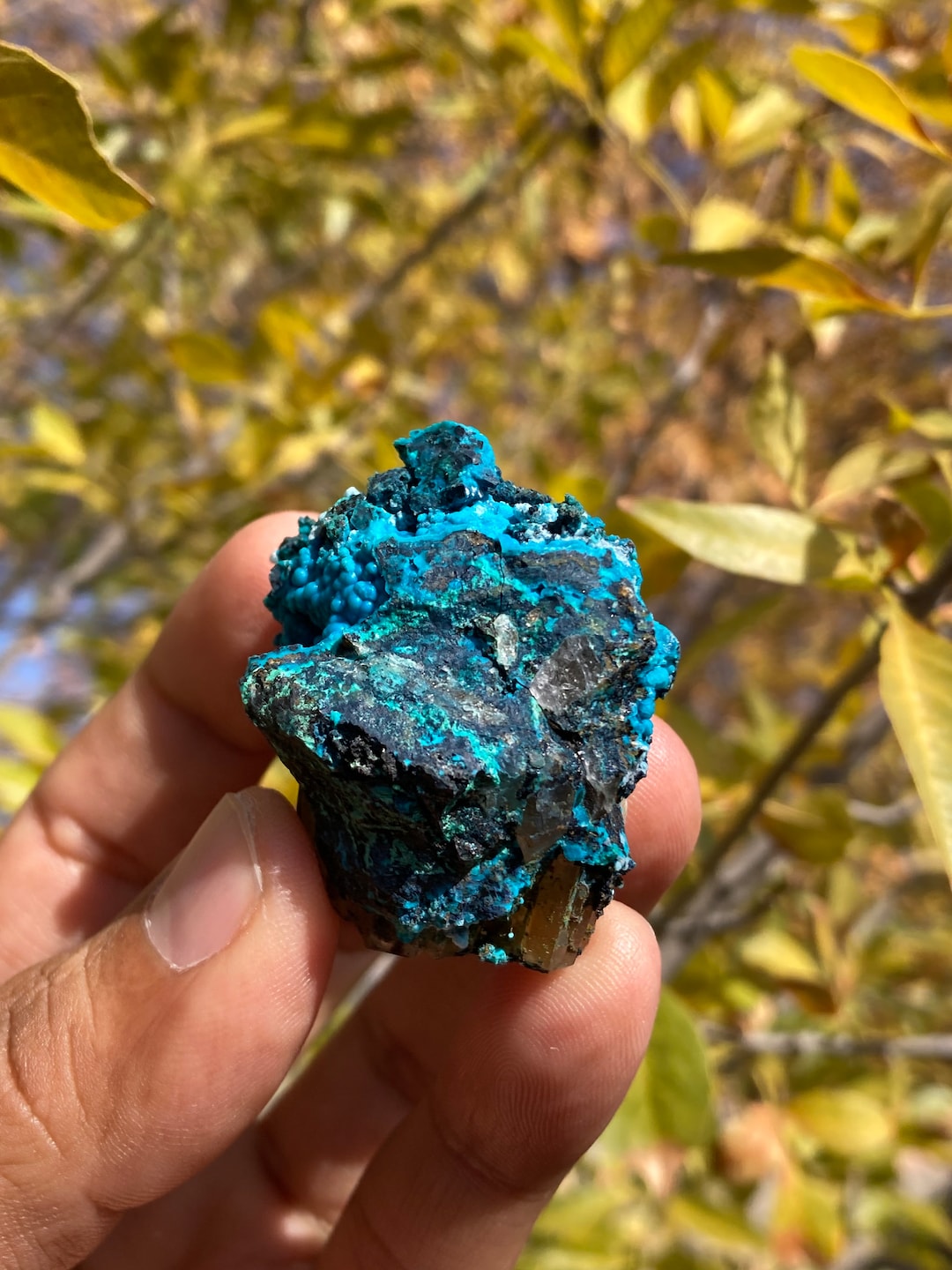 Quantum Quattro Raw, Malachite,shattuckite Chrysocolla,dioptase From ...