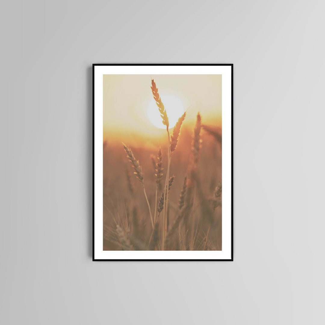 Wheat Poster Print Home Wall Art Decor Elegant Simple Wheat in Sun Set ...