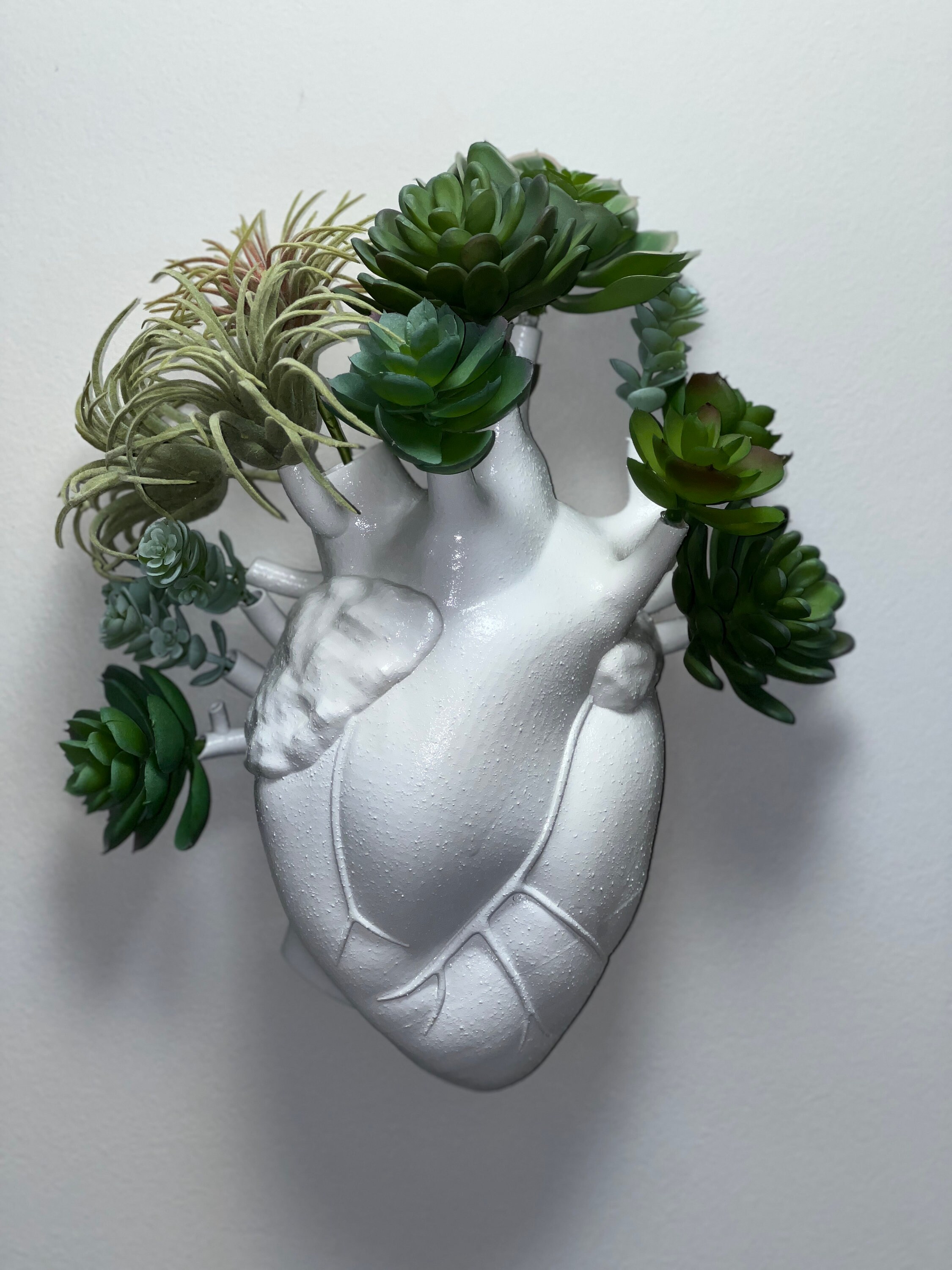 3D Printed Anatomical Heart Vase With Flowers - Etsy