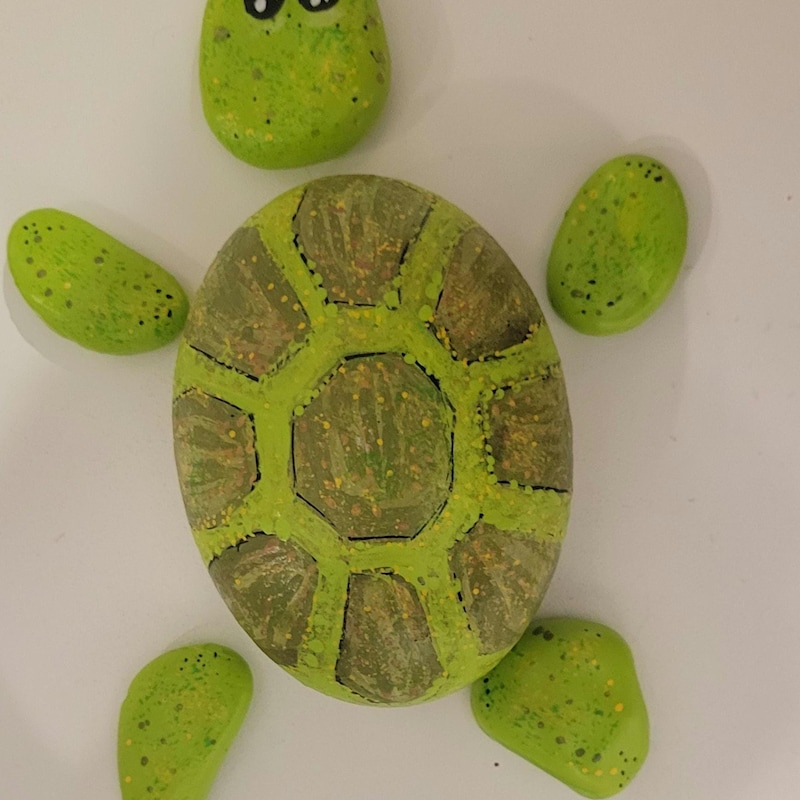 Painted Rock Turtle - Etsy
