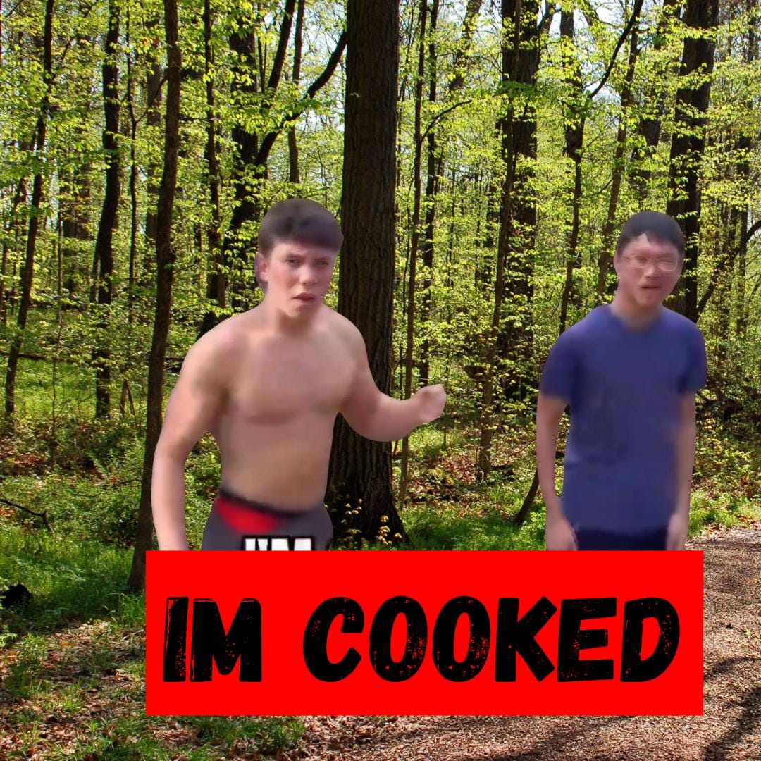 Funny Im Cooked Meme Sticker 4x4, Great for Hard Hats & Laptop Decal ...