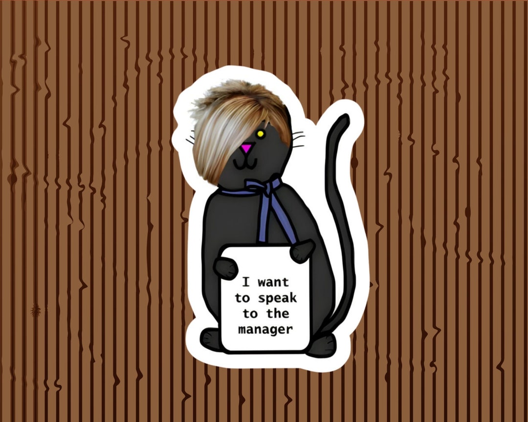 Funny Cat Sticker 3x3, Karen Decal for Hard Hate - Etsy