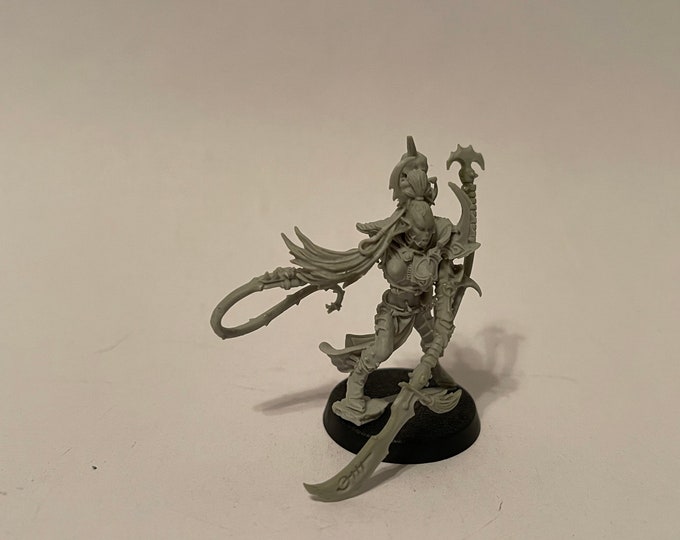 Warhammer 40k Dark Eldar Succubus With Agonizer Resin - Etsy