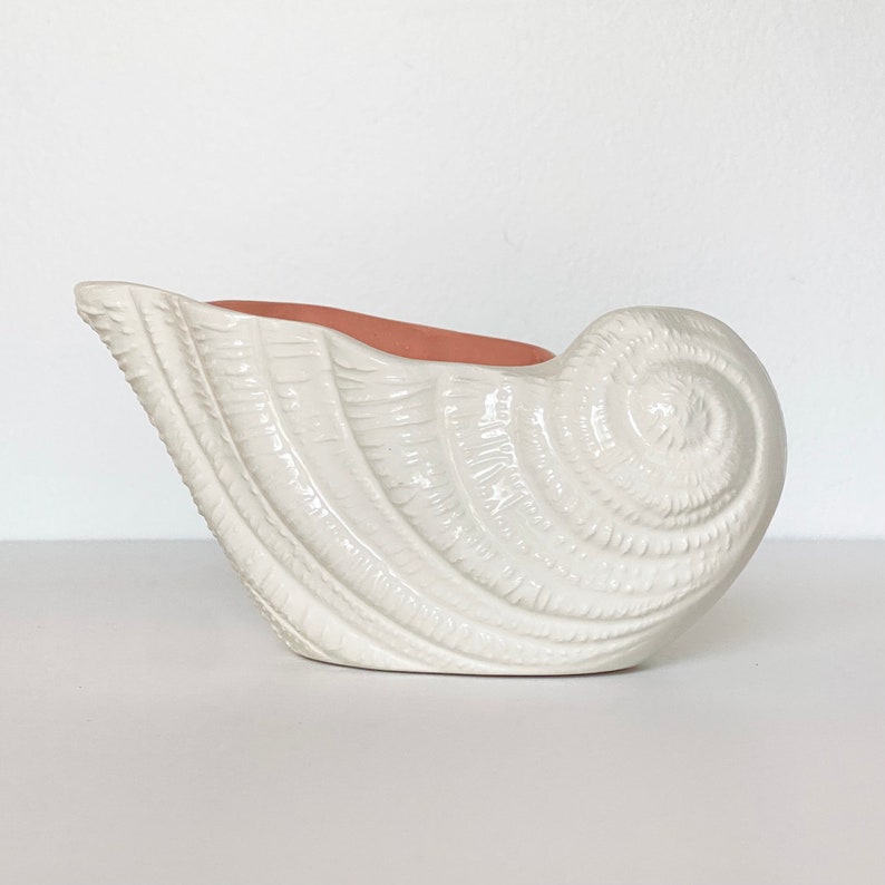 Nautilus Shell Ceramic Planter, Pink Coral Interior - Etsy