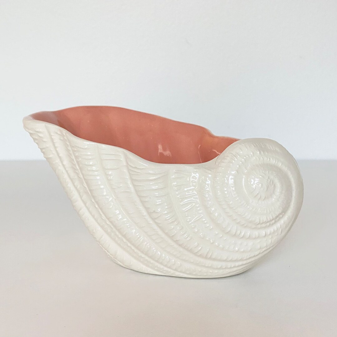 Nautilus Shell Ceramic Planter, Pink Coral Interior - Etsy